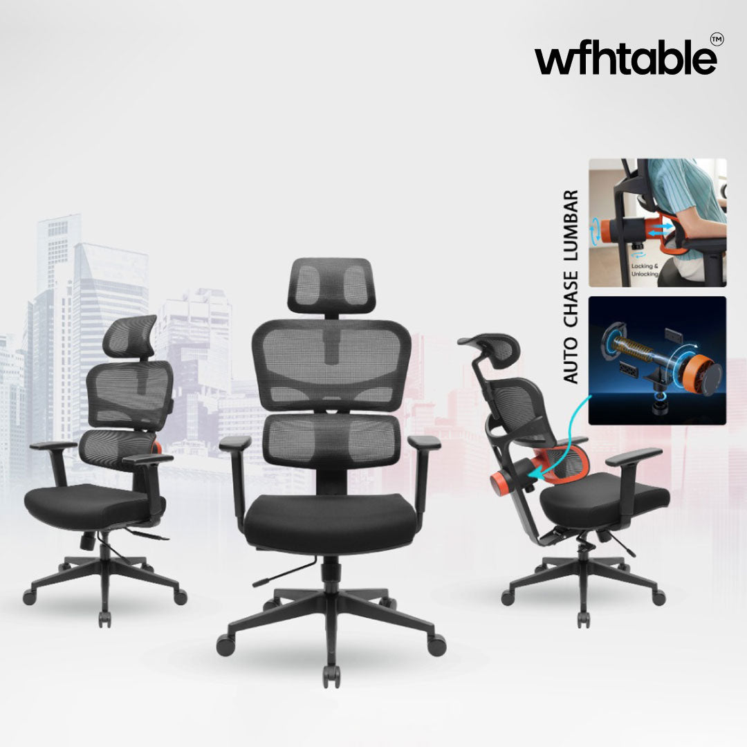 Ergoflex-Fully Adaptive Lower BackSupport, – WFHtable.com